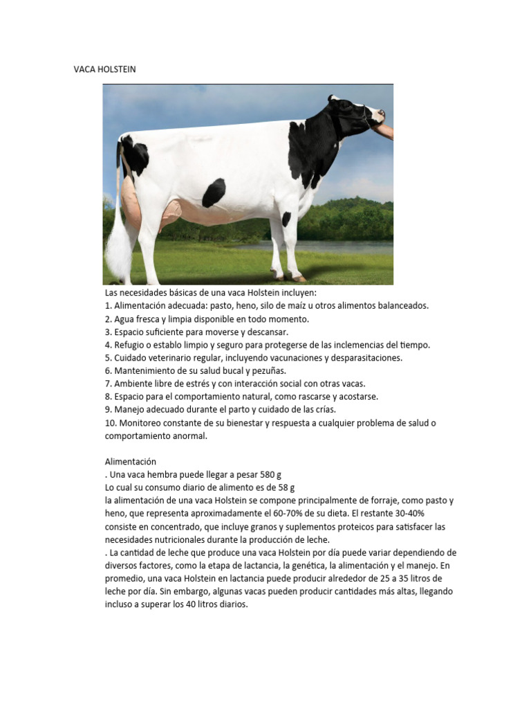 Vaca Holstein Pdf