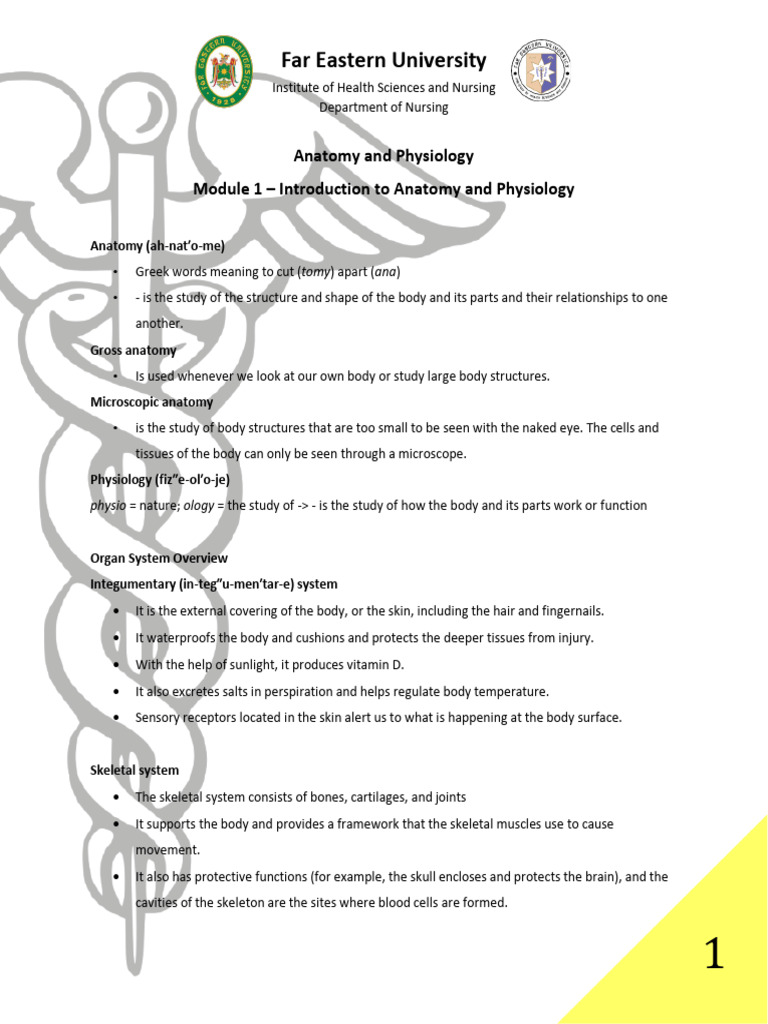 AnaPhy Module 1 Introduction To Anatomy and Physiology | Download Free ...