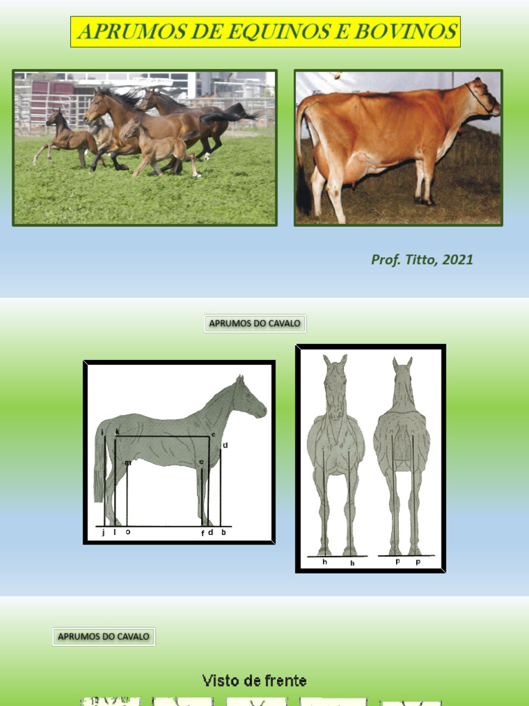 Aprumos de Equinos e Bovinos | PDF