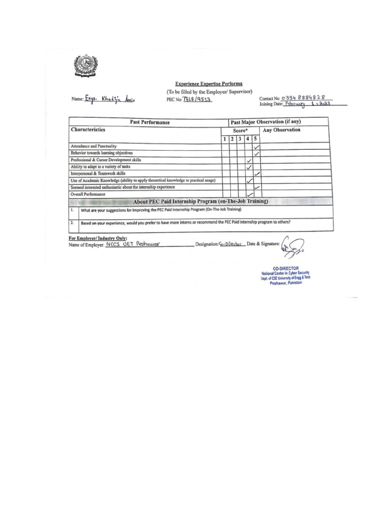 Performa Pec Internship | PDF