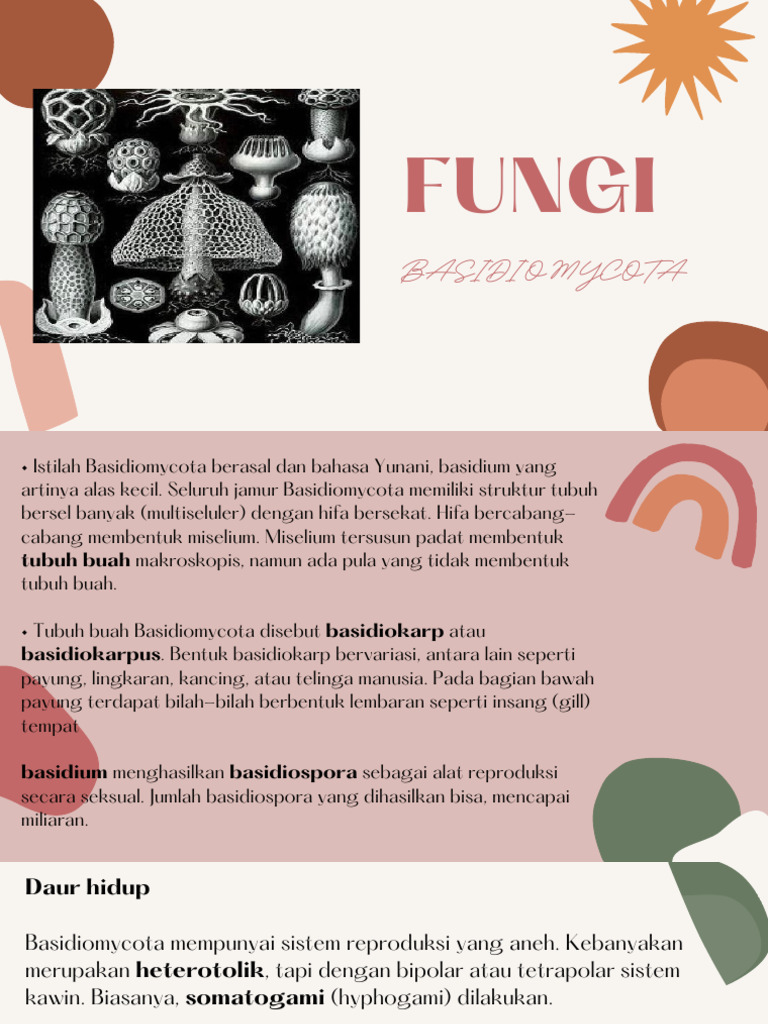 Fungi Basidiomycota | PDF