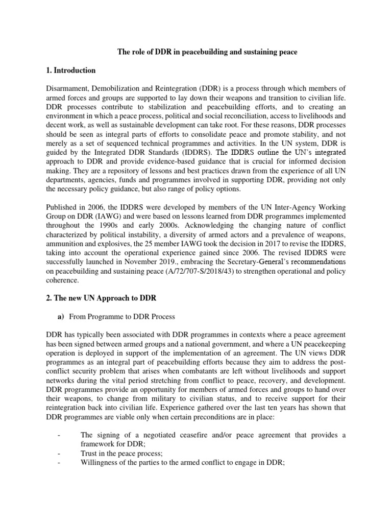 Pb Review Thematic Paper Orolsi Ddrs Role Of Ddr In Pb And Sp Final