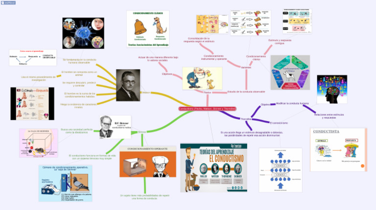Conductismo (Pavlov, Watson, Skinner, y Thorndike) | PDF