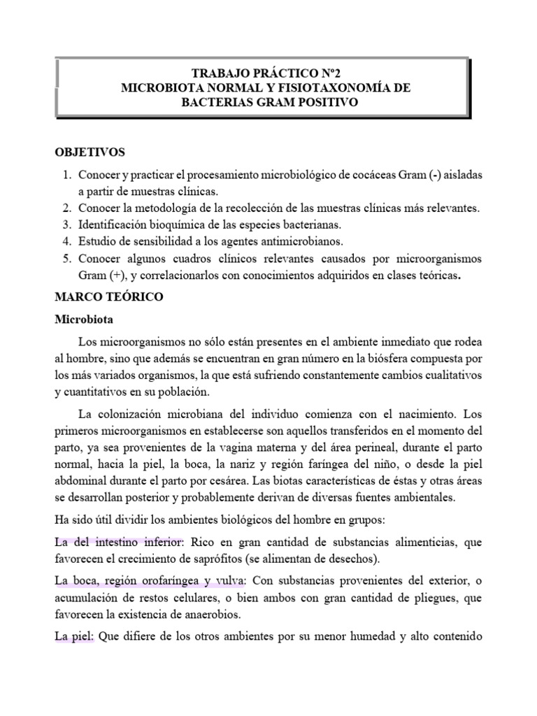 Guia Laboratorio Microbiologia BIOL251 2023 Stgo | PDF | Staphylococcus Aureus | Las bacterias