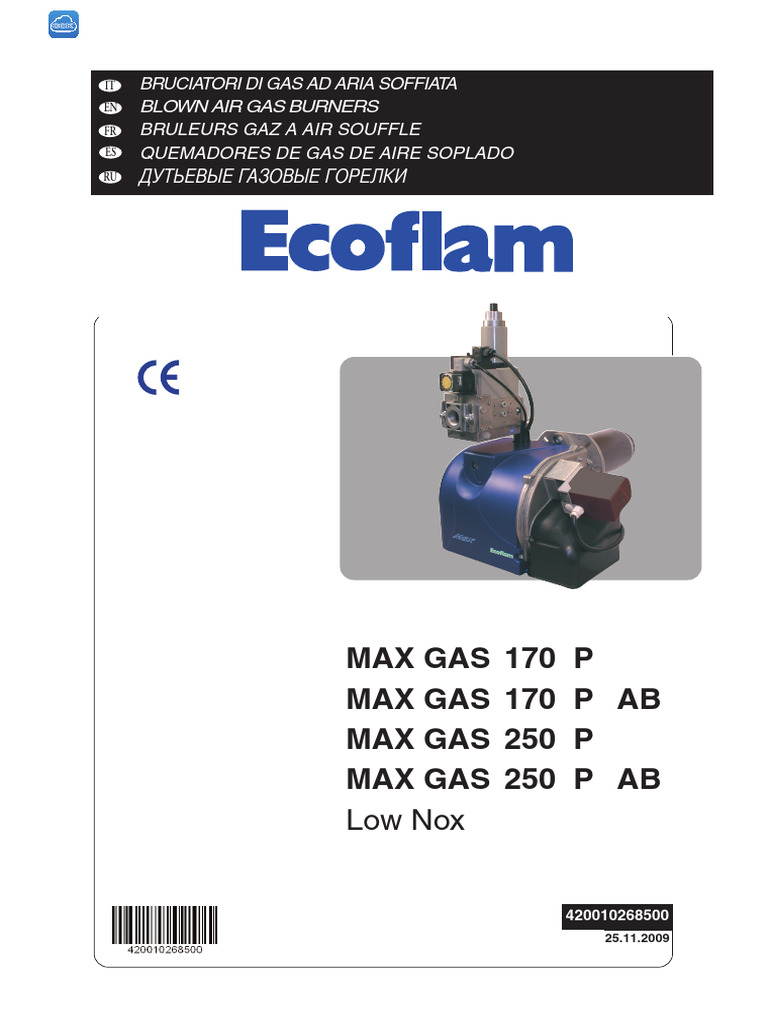 Manual Ecoflam Max Gas 250 P | PDF