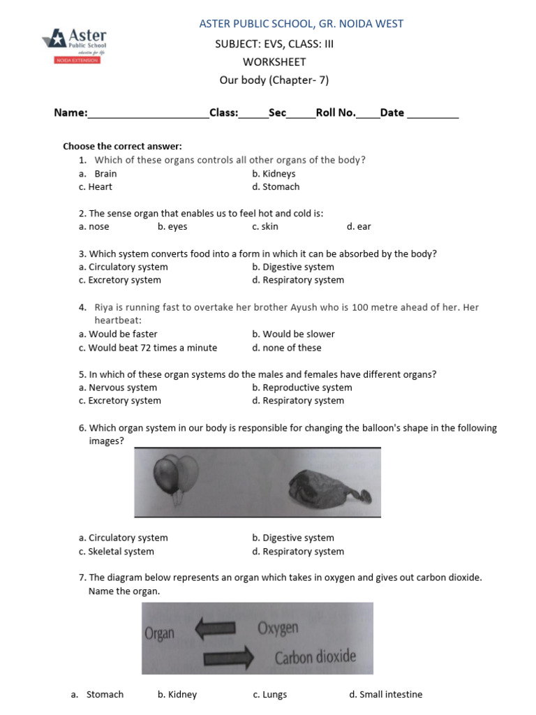 PT - 2 Worksheet (Chapter-7) | PDF | Self-Improvement | Science ...