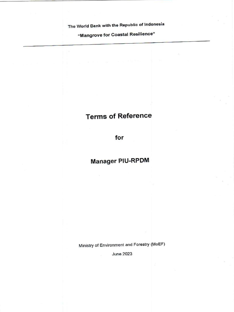 Terms of Reference-Manager PIU RPDM Publish2 | PDF