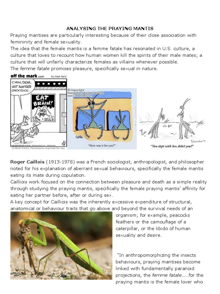 Analysing the Praying Mantis | Zoology | Sex
