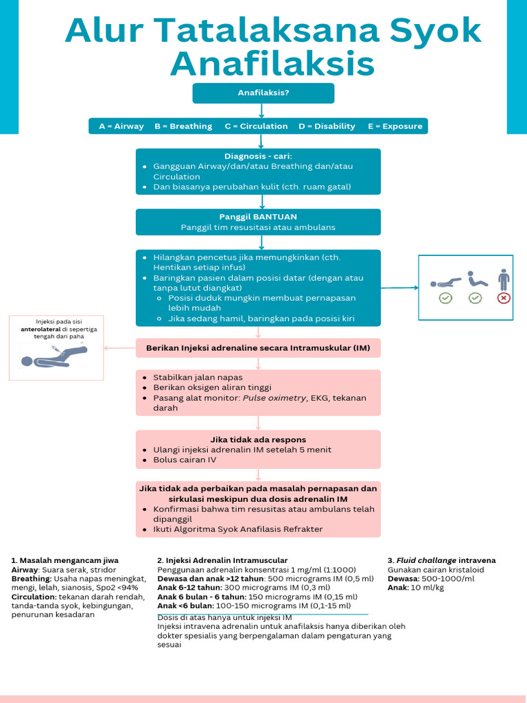 Alur Tatalaksana Syok Anafilaksis | PDF