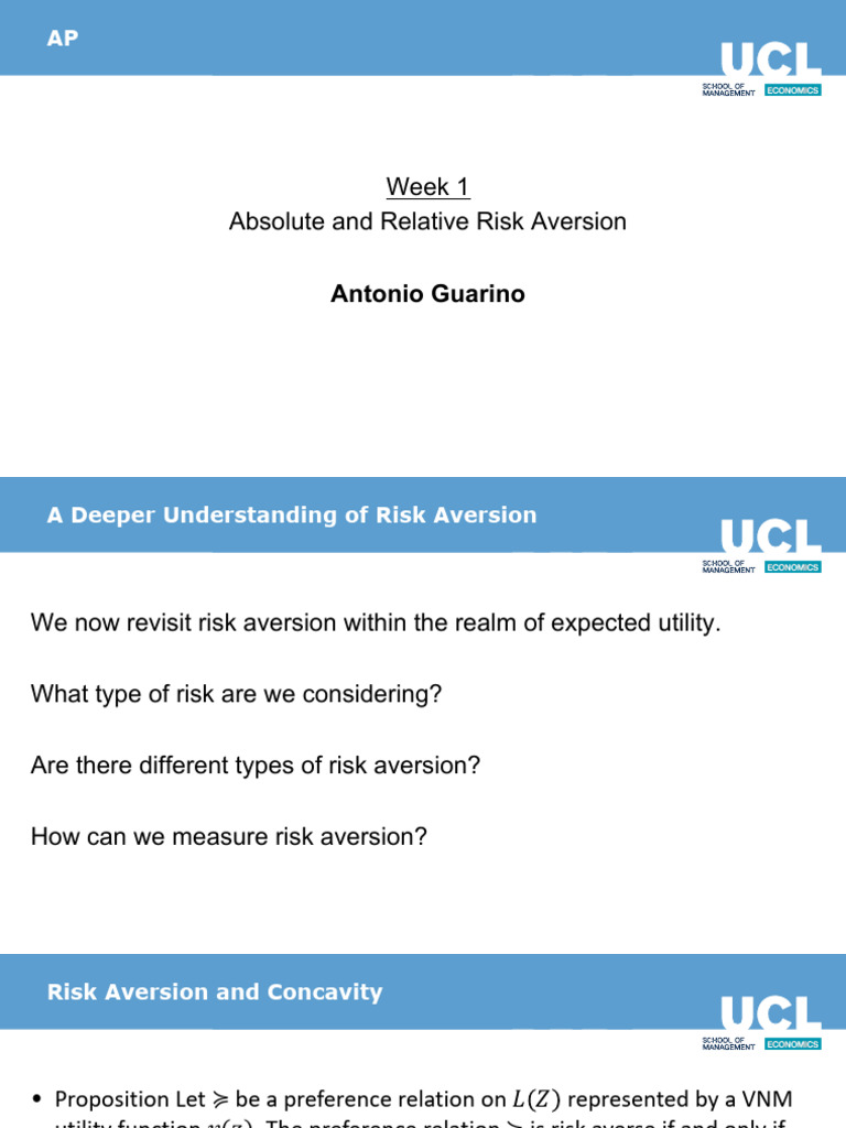 AP - W1e Absolute and Relative Risk Aversion | PDF