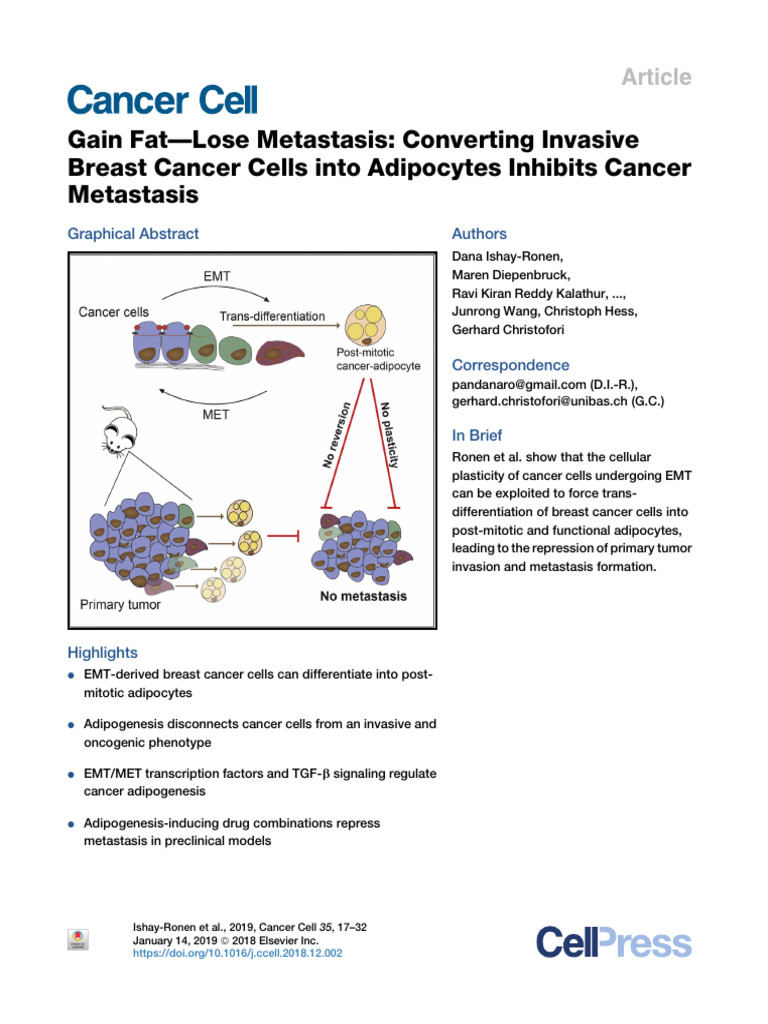 Gain Fat Lose Metastasis Converting Invasive Breast Cancer Cell - 2019 ... Gain Fat Lose Metastasis Converting Invasive Breast Cancer Cell - 2019 ...