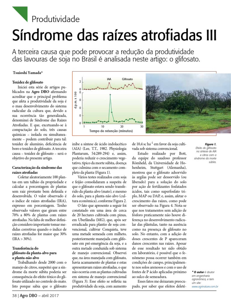 Sindrome Das Raizes | PDF | Soja | Agricultura