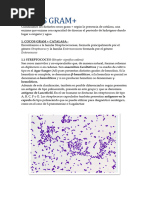 Clasificación de Grupos de Lancefield | PDF | Estreptococo | Bacterias ...