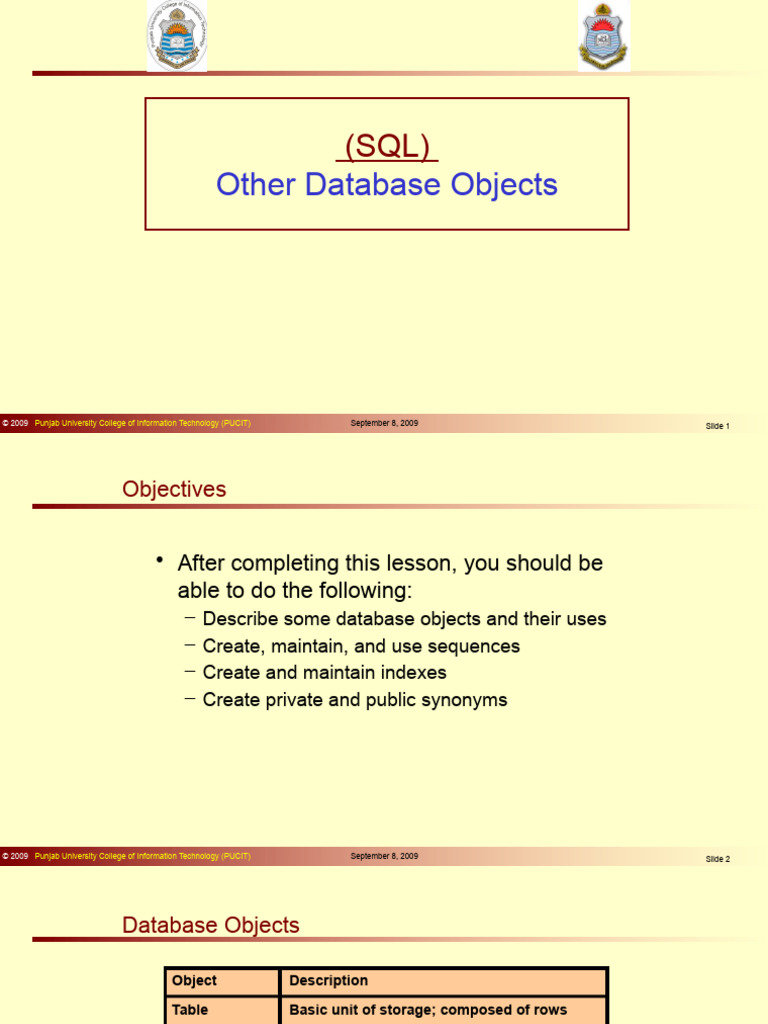 Sql 11 Db Objects Pdf Database Index Databases