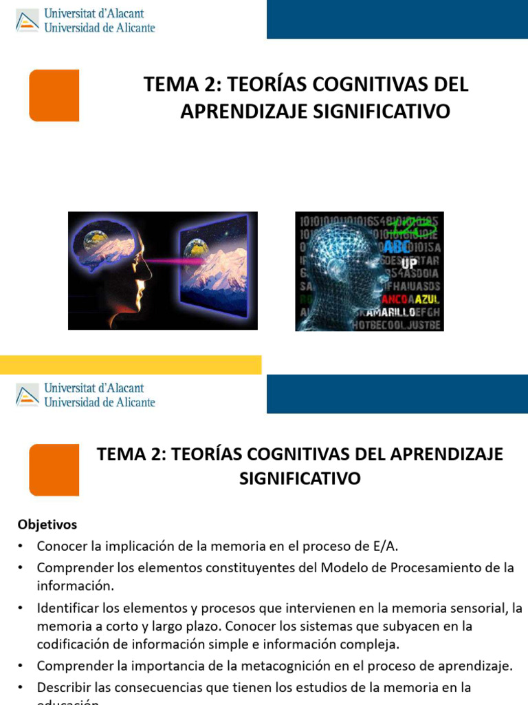 Tema 2 PT | PDF | Memoria | Atención