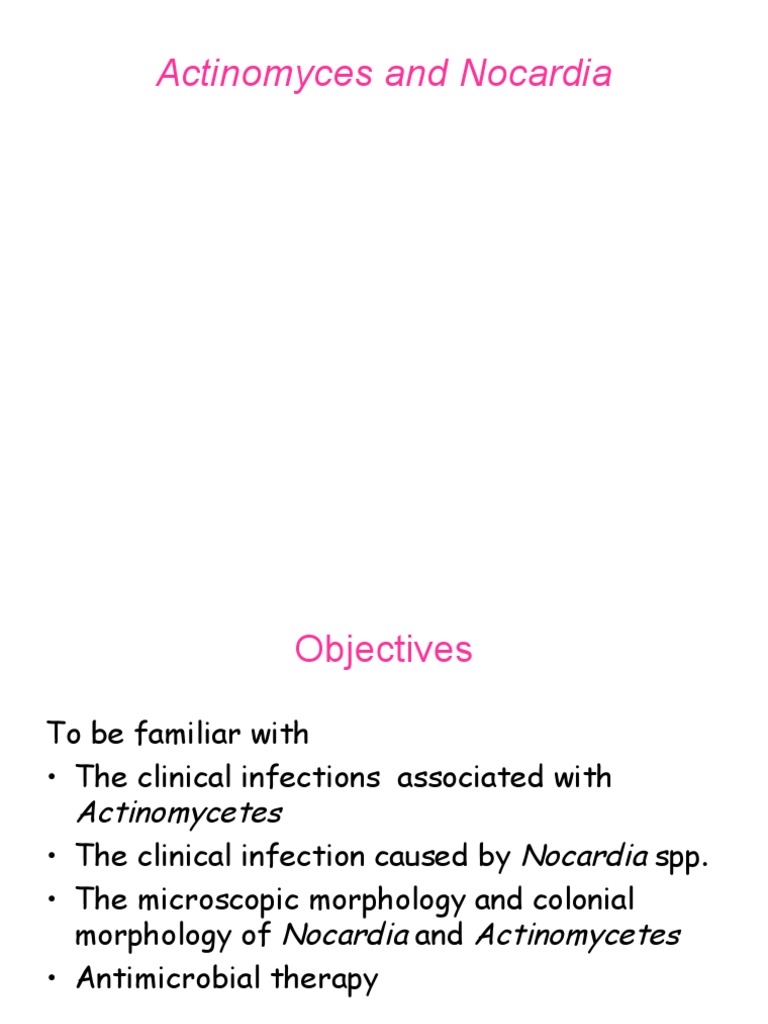 Actinomyces & Nocardia 06-07-Med | Download Free PDF | Infection ...