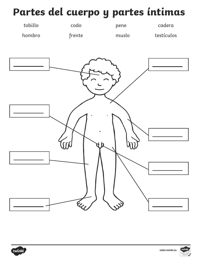 Es SC 1686036850 Ficha de Actividad Partes Del Cuerpo y Partes Intimas ...