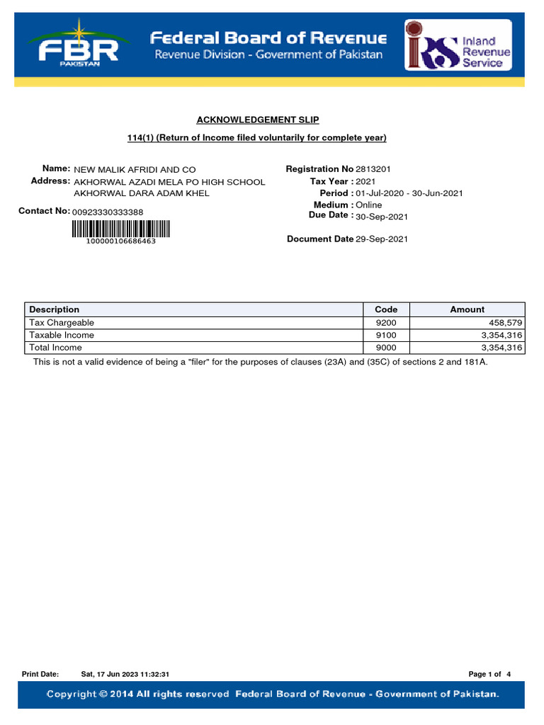 Tax Return Summary 2021 | PDF