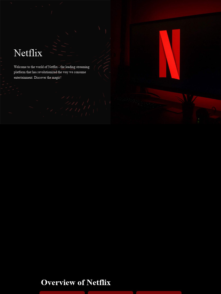 Netflix | PDF