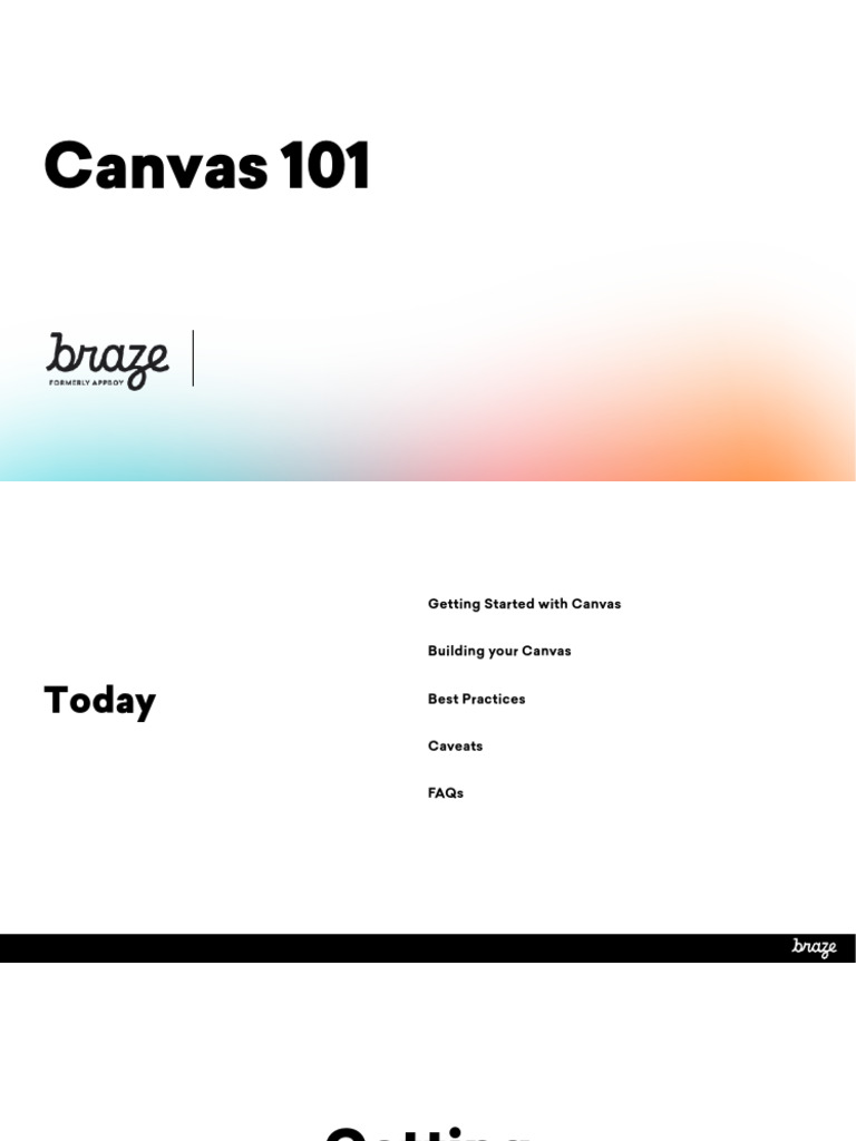 Braze Canvas 101 | PDF | Target Audience | Information Technology
