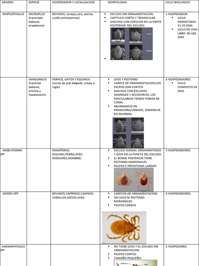 Cuadro Garrapatas. | PDF