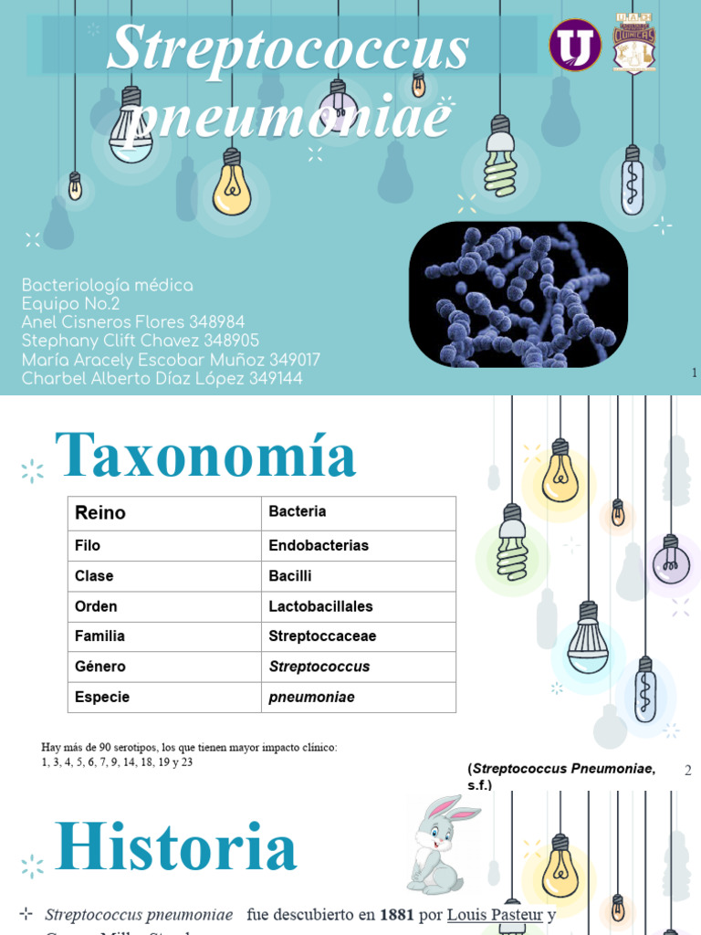 Streptococcus Pneumoniae | PDF | Microscopía | Especialidades Medicas