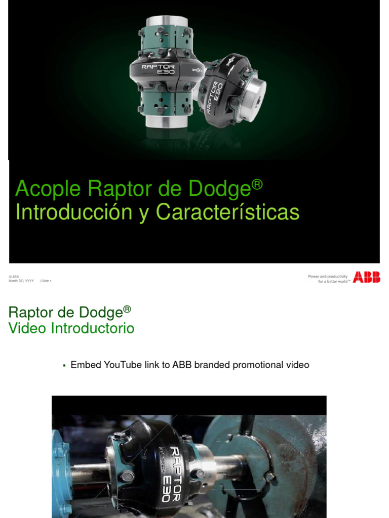 Presentacion Acoples - PGIC | PDF