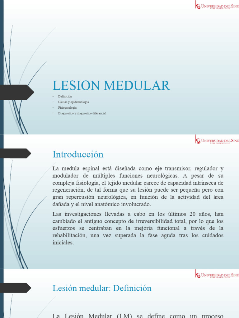 Clase Lesion Medular | PDF | Lesión de la médula espinal | Médula espinal