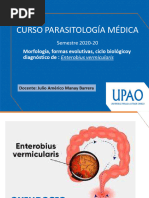 CDC - DPDX - Enterobiasis | PDF | Sistema digestivo | Parasitología