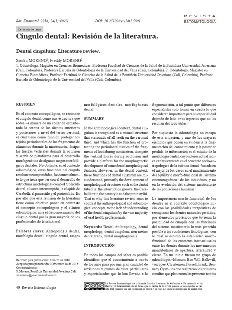 Cíngulo Dental: Revisión y Funciones | PDF | Boca | Odontología