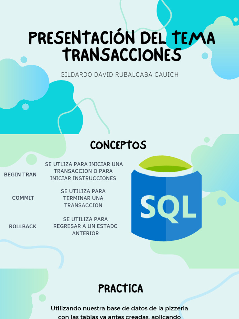 7649 - Presentación Del Tema Transacciones | PDF