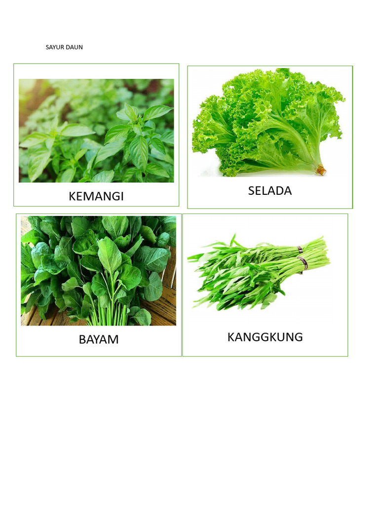 Macam Macam Daun | PDF