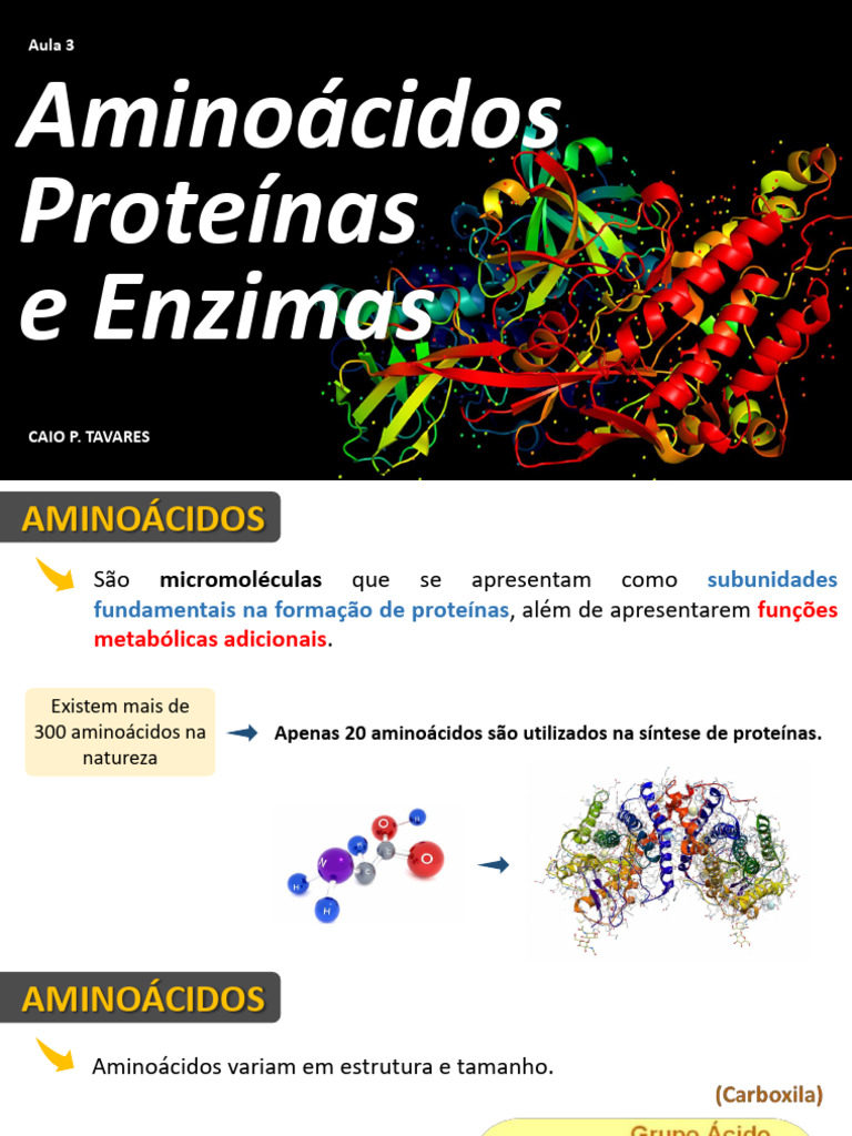 Aula 3 - Aminoácidos, Proteínas e Enzimas | PDF
