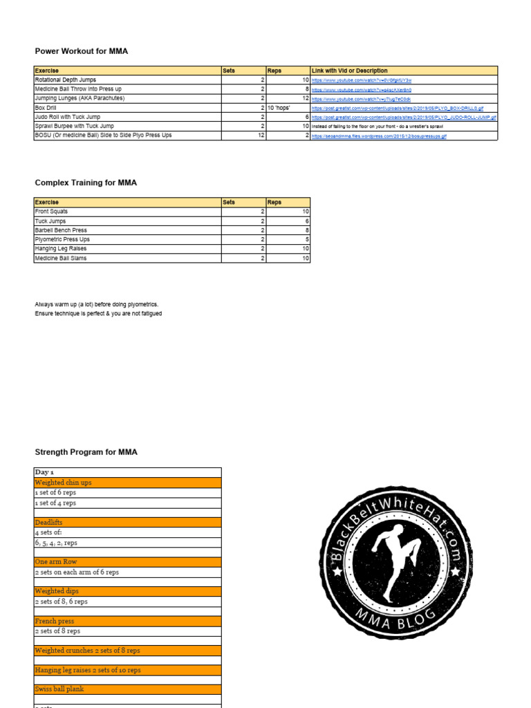 Mma Conditioning 2 Sheet1 | PDF