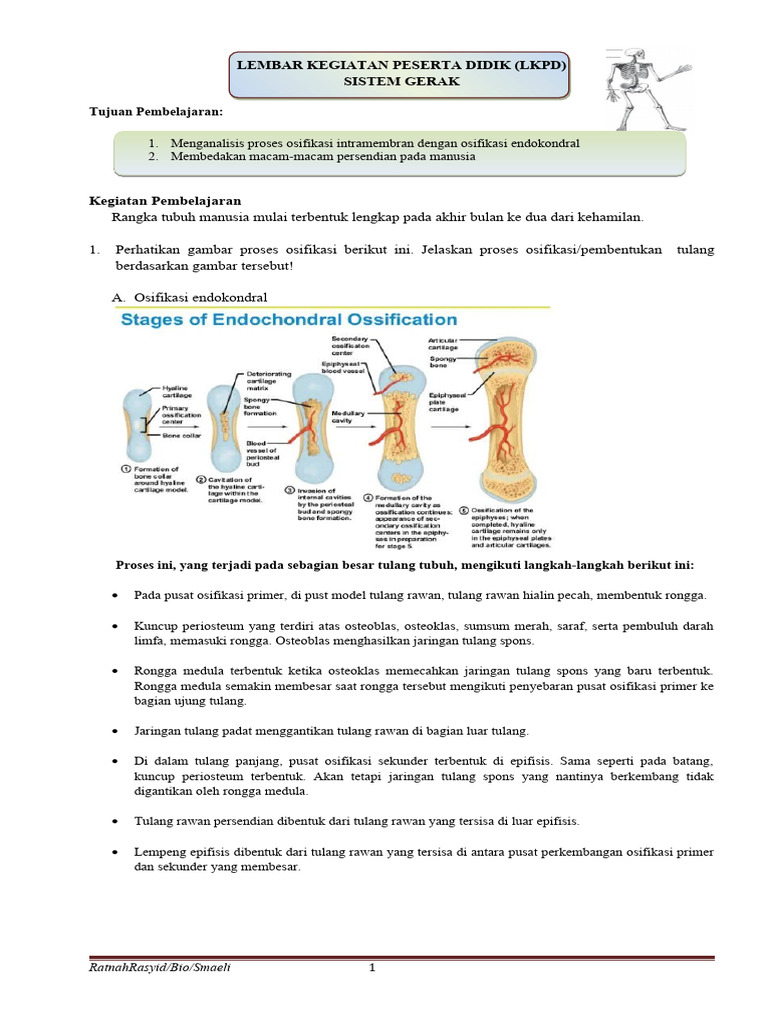 LKPD Sistem Gerak | PDF