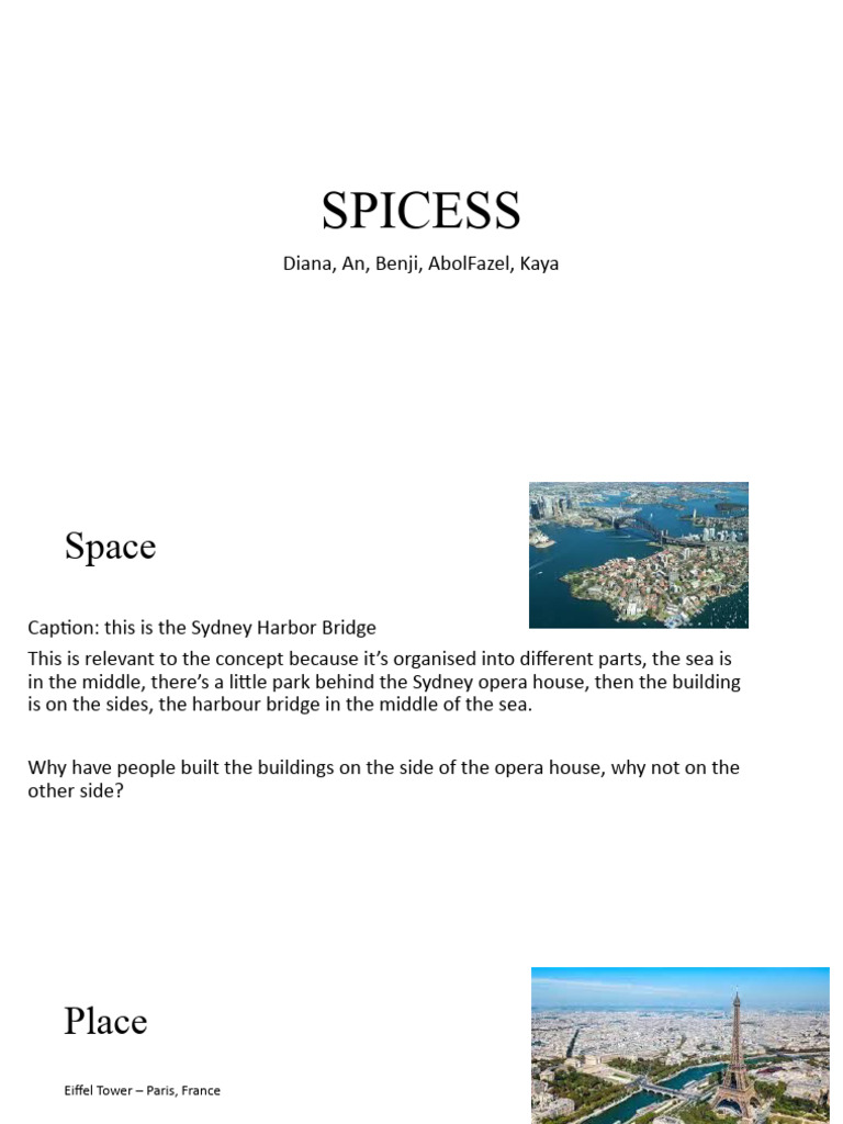 Sydney & Paris: SPICESS Concept Analysis | PDF