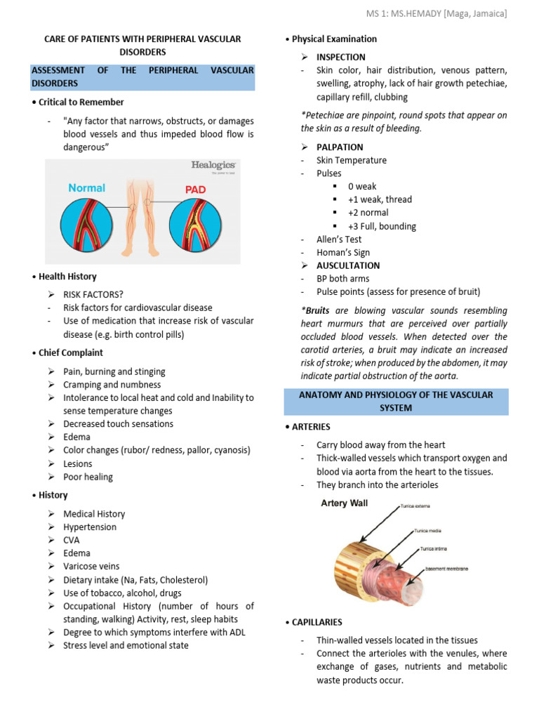 Care of Patients With Peripheral Vascular Disorders | PDF