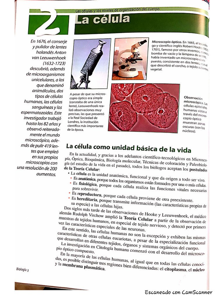 Teoria Celular y Origen de La Celula C3 | PDF