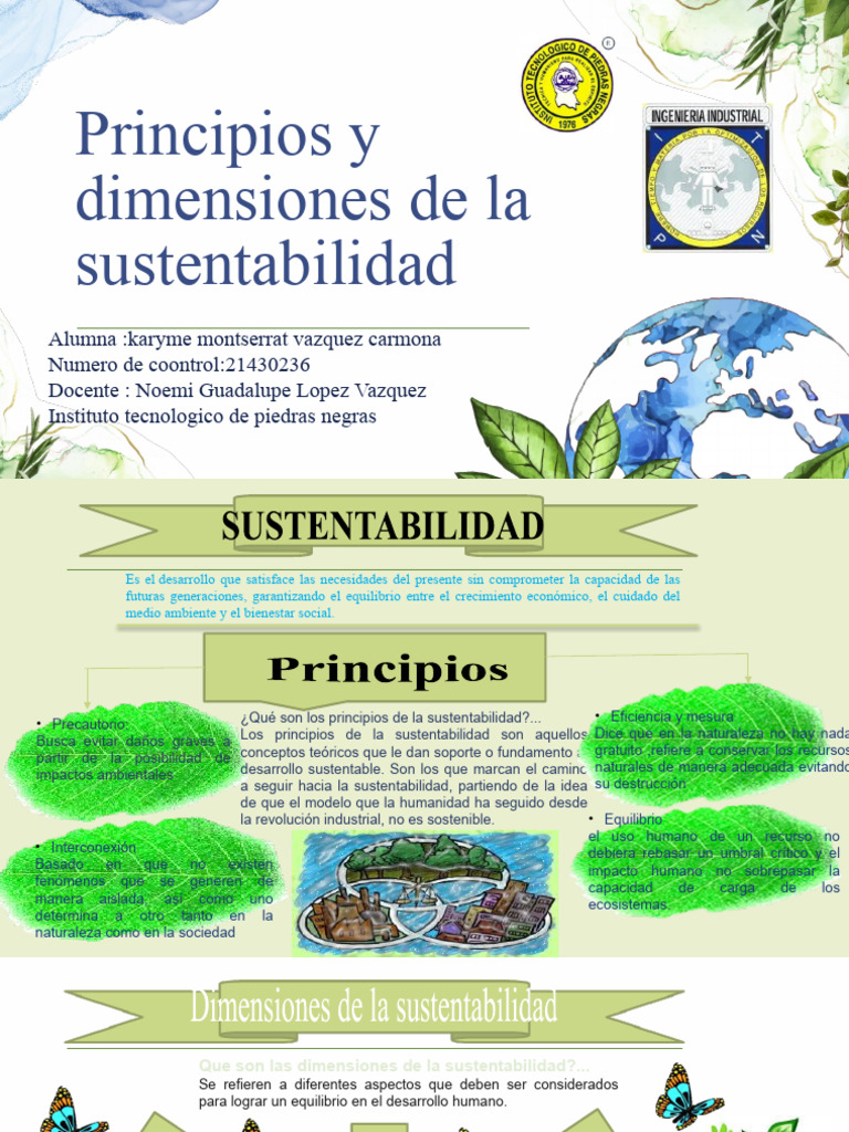 Mapa Conceptual | PDF | Sustentabilidad | Entorno natural