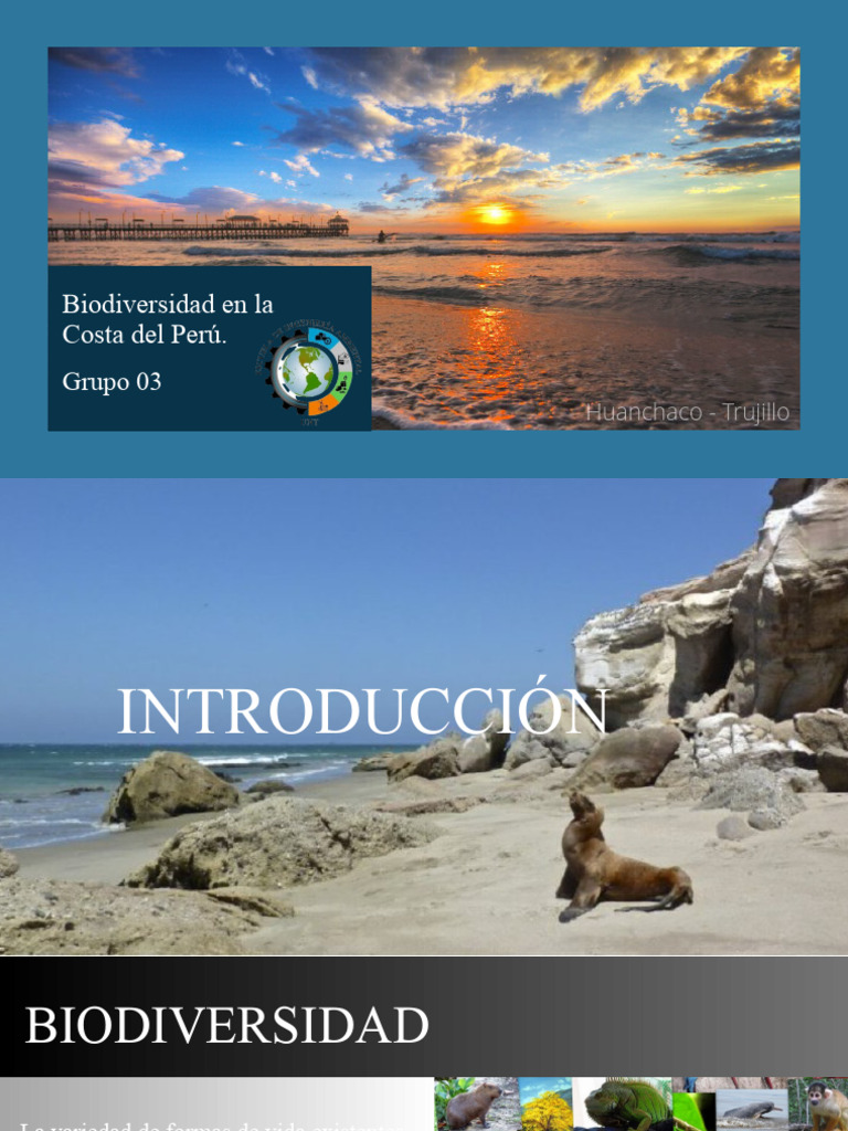 Biodiversidad en La Costa Del Perú | PDF | Ecosistema | Biodiversidad