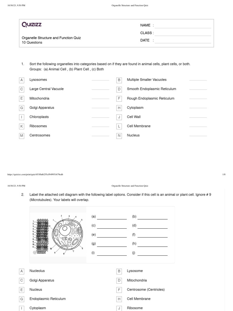 Organelle Structure and Function Quiz | PDF