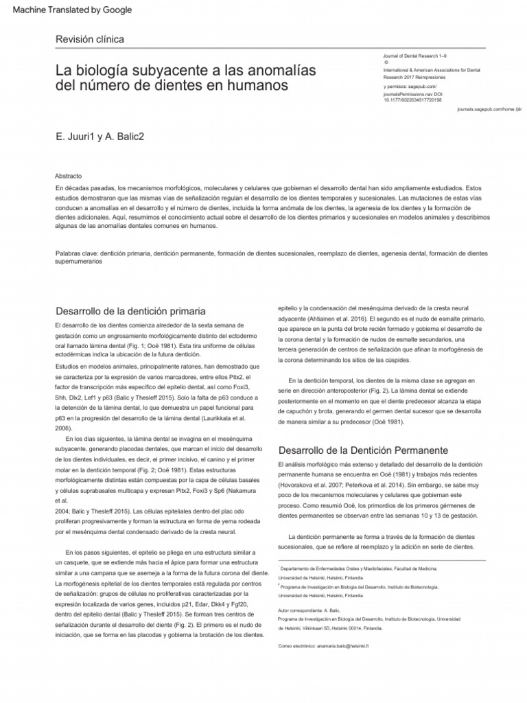 Articulo de Histo | PDF | Diente | Boca