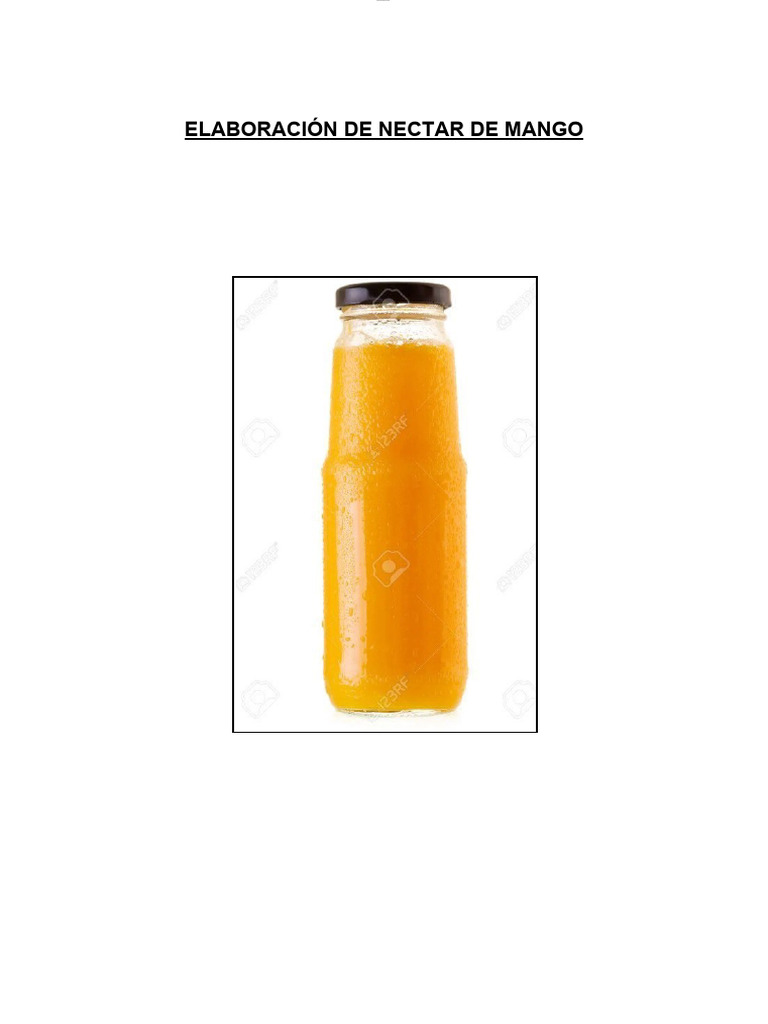 Elaboracion de Nectar de Mango | PDF | Mango | Agua