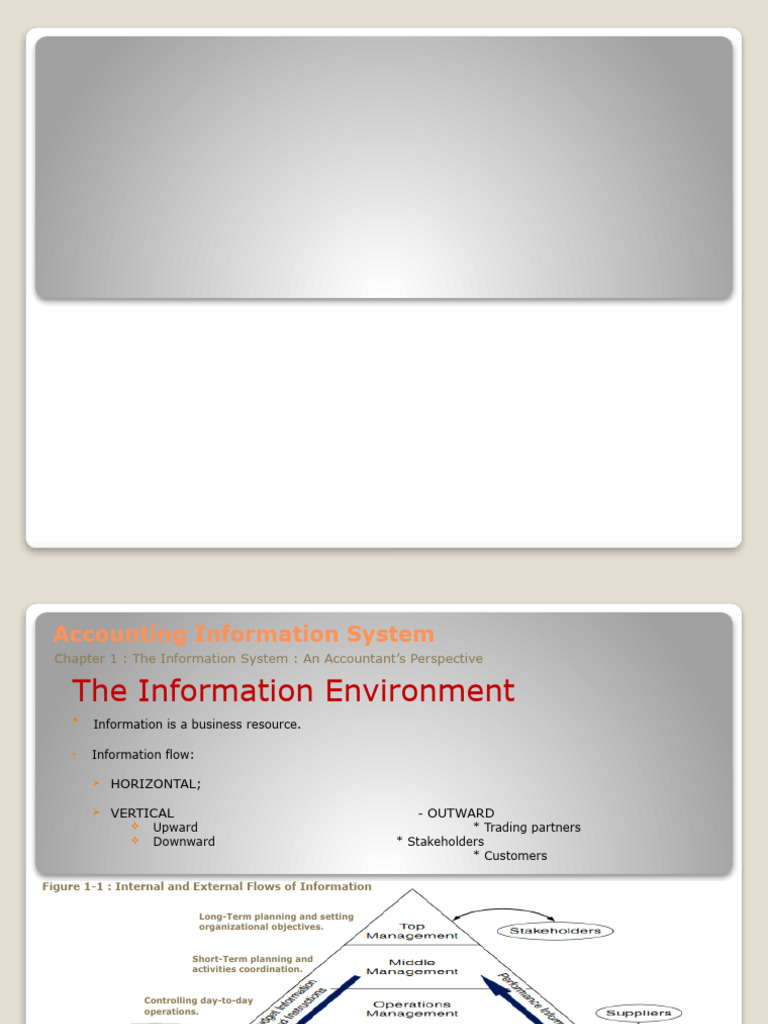 Information System Overview | PDF