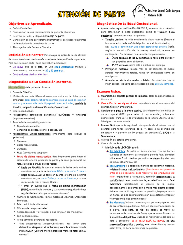 Gob 8 - Atención de Parto | PDF