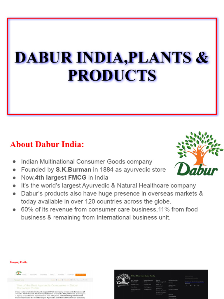 1st PPT - Dabur India | PDF