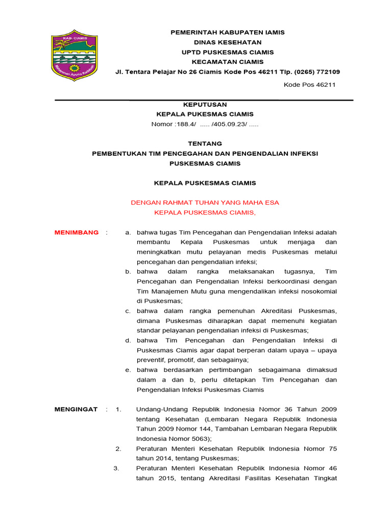 SK Pembentukan Tim Ppi Puskesmas | PDF