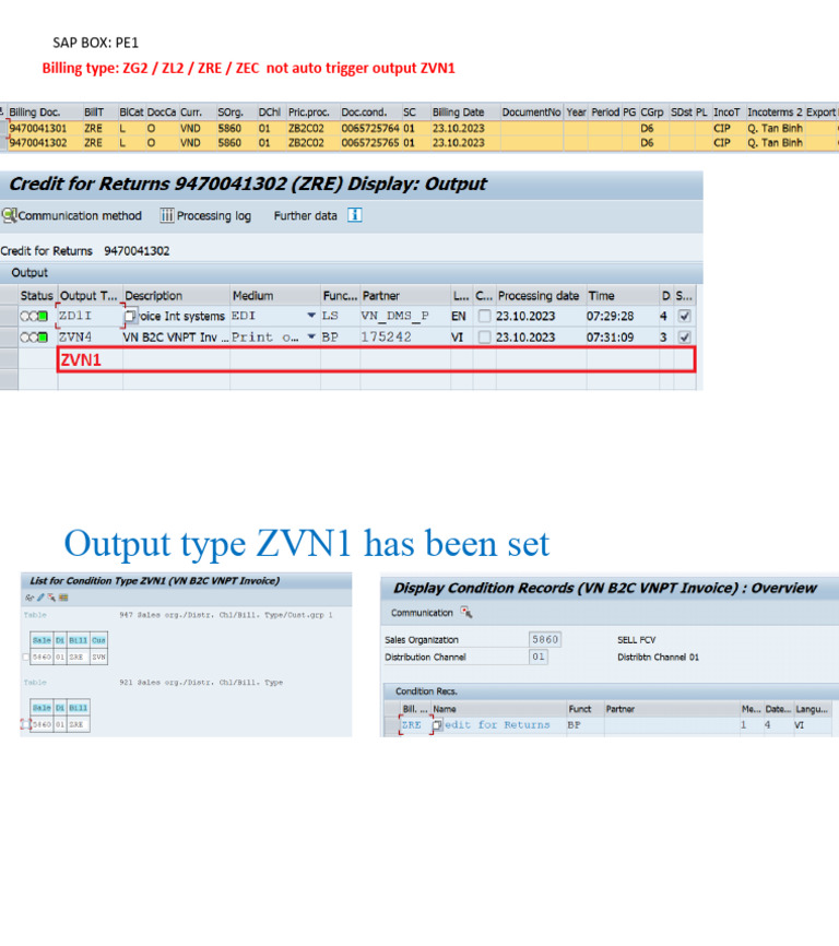 Issue Billing Not Auto Trigger Output ZVN1 | PDF