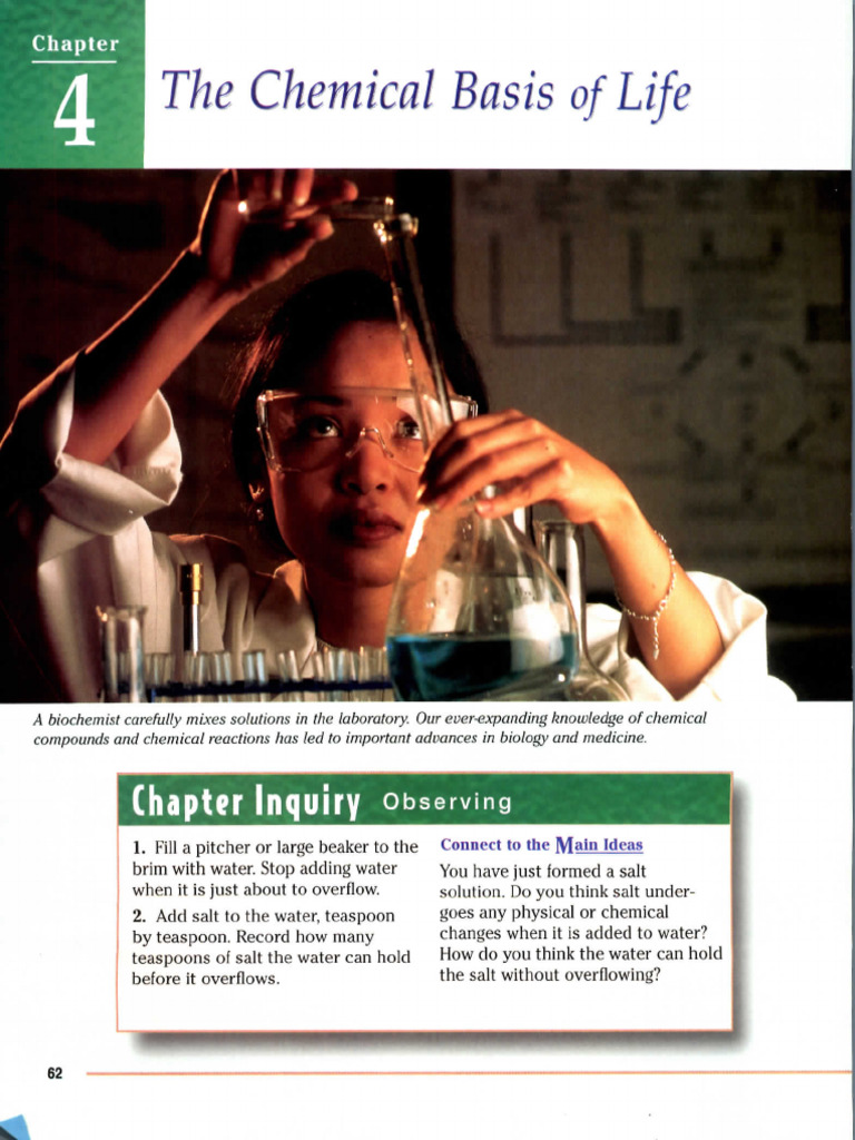 Elephant Book Chapter 4 | PDF