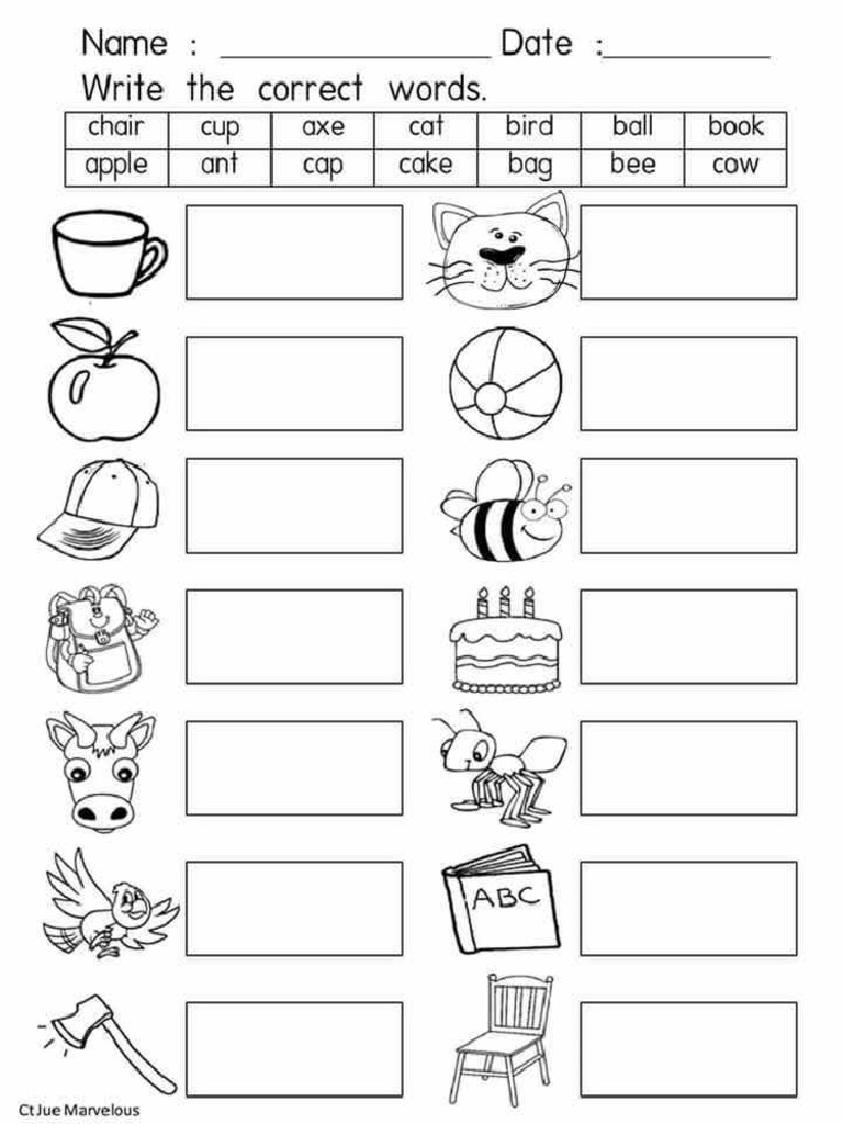 Vocabulary Exercise Year 1 | PDF